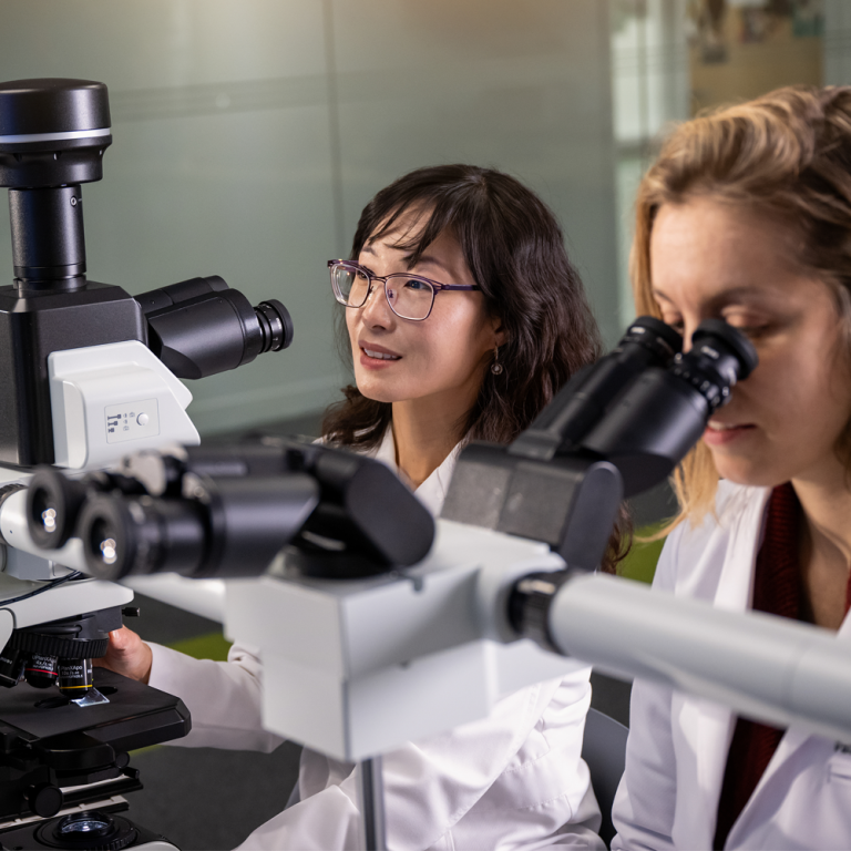 annual report 2024 - Permanente Medicine